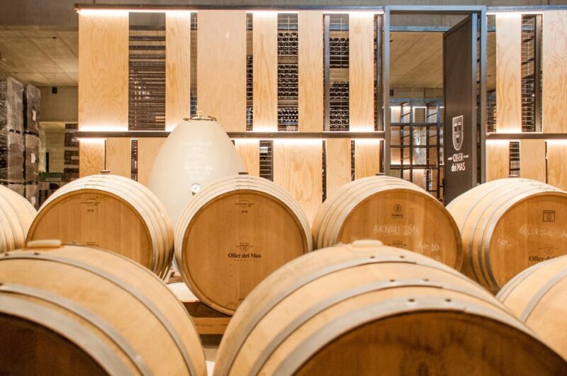 Private Wine, Tapas & Cava Experience from Barcelona - Final Thoughts