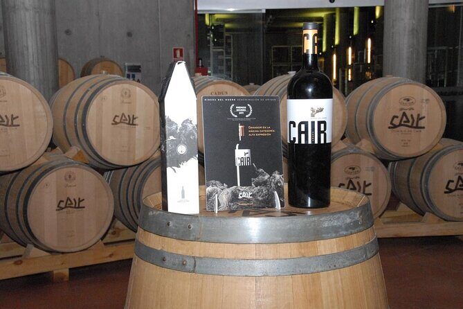 Private Wine Tasting And Visit Tour in Ribera Duero - Exploring the Wineries: What You’ll Discover