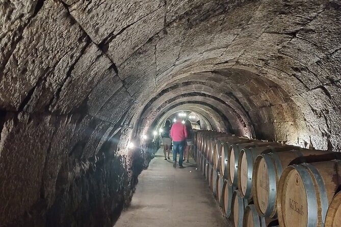 Private Wine Tasting And Visit Tour in Ribera Duero - Tasting Experiences: Flavor, Authenticity, and Enjoyment