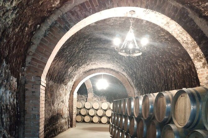 Private Wine Tasting And Visit Tour in Ribera Duero - Final Stops and Additional Experiences