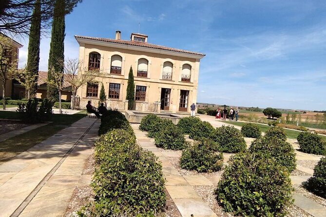 Private Wine Tasting And Visit Tour in Ribera Duero - What Travelers Say: Authenticity and Warmth