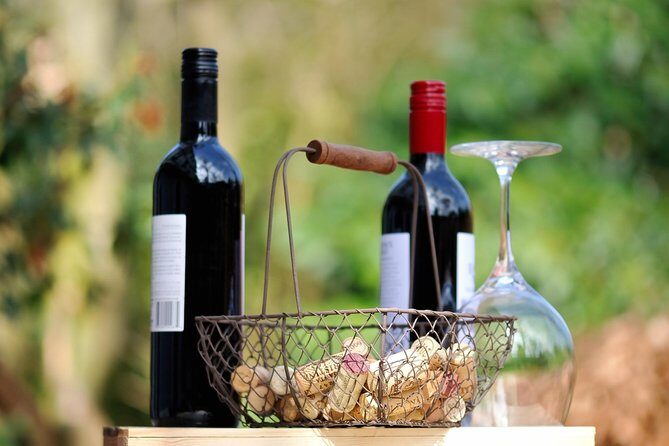 Private Wine Tasting Experience of Greek Awarded Wines at Athens Wine Suburb - The Sum Up: A Genuine Taste of Greek Winemaking