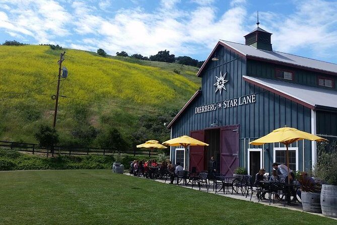 Private Wine Tasting Tour From Santa Ynez, Solvang or Buellton! - Why Choose a Private Wine Tasting Tour?