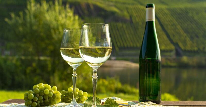 Private Wine Tasting Tour in Munich with a Wine Expert - Key Points