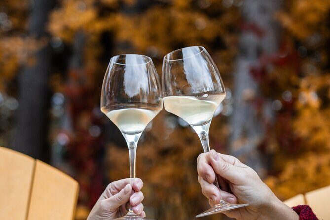 Private Wine Tastings in Simcoe County - Analyzing the Experience: What You Can Expect in Detail