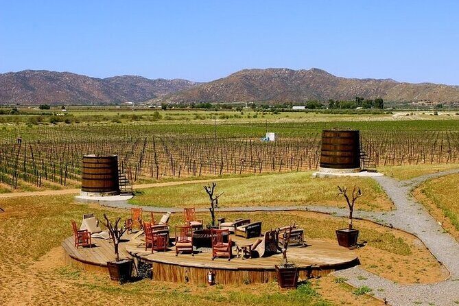 Private wine tour - Exploring the Private Wine Tour in Valle de Guadalupe