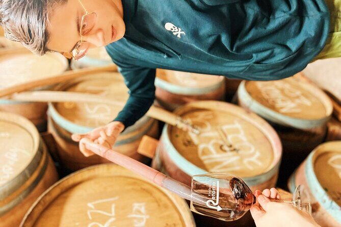 Private Wine Tour at Valle de Guadalupe (A wine tasting included). - An In-Depth Look at the Tour