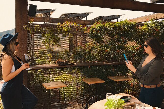 Private Wine Tour at Valle de Guadalupe (A wine tasting included). - Who Should Book This Tour?