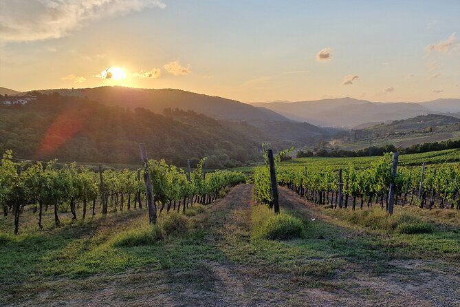 Private Wine Tour best of Chianti Tuscany 6 hours Limo Service - What Does It Mean for You?