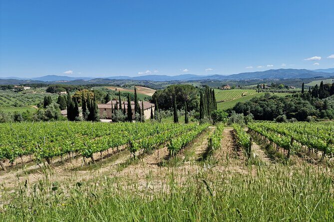 Private Wine Tour best of Chianti Tuscany 6 hours Limo Service - FAQs