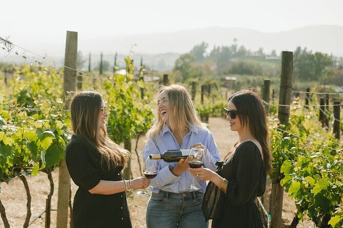 Private Wine Tour by Ansell Tours - The Nuts and Bolts