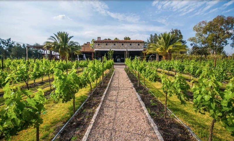 Private Wine Tour from Guanajuato City - Authentic Experiences and Final Thoughts