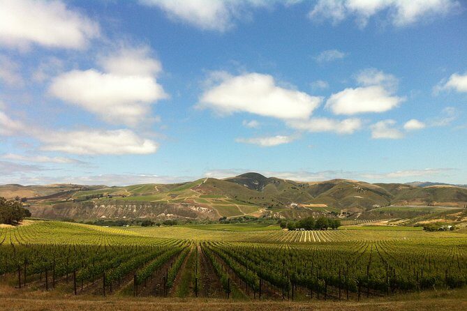 Private Wine Tour from the Santa Ynez Valley - Discover the Charm of Santa Ynez Wine Country with a Private Tour