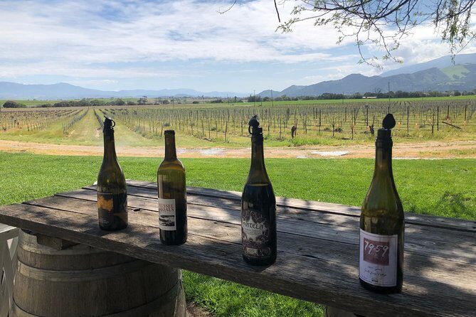 Private Wine Tour from the Santa Ynez Valley - An In-Depth Look at the Tour Experience