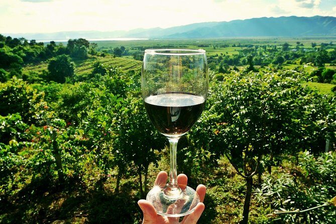 Private Wine Tour from Zagreb: Two Local Wineries & Samobor - The Heart of the Tour: What to Expect