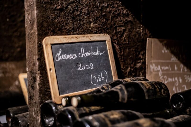 Private Wine Tour in Côte de Nuits and Côte de Beaune - What Makes This Tour Special?