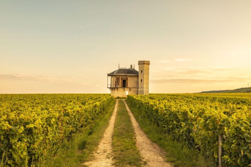 Private Wine Tour in Côte de Nuits and Côte de Beaune - Valuing the Price