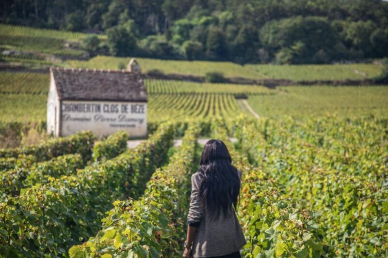 Private Wine Tour in Côte de Nuits and Côte de Beaune - The Sum Up