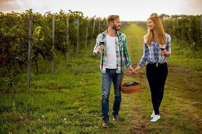 Private Wine Tour in Niagara-on-the-Lake w/ cheese & charcuterie - What to Expect from the Itinerary