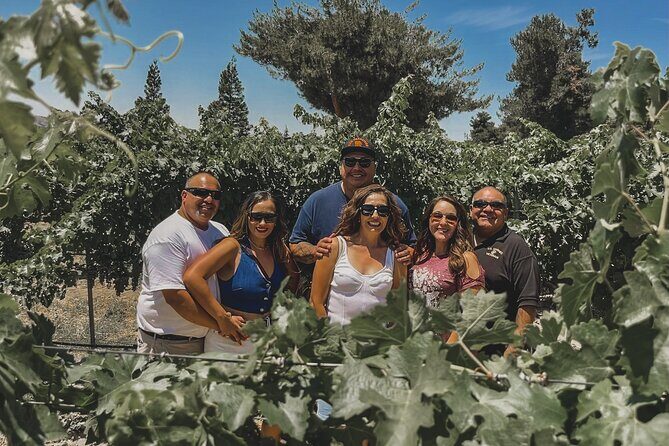 Private Wine Tour in Paso Robles - An Honest Look at the Tour Experience