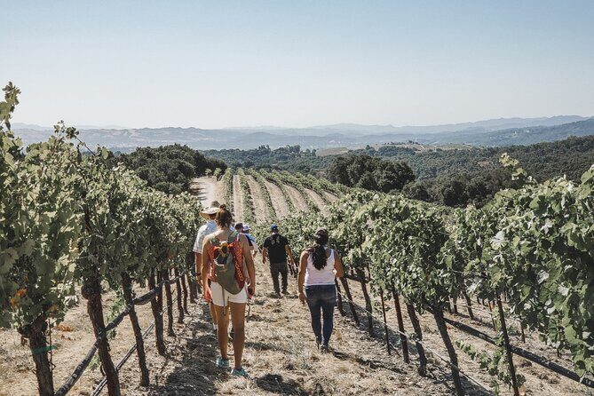 Private Wine Tour in Paso Robles - FAQ Section