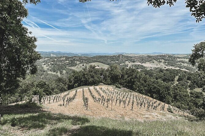 Private Wine Tour in Paso Robles - Final Verdict