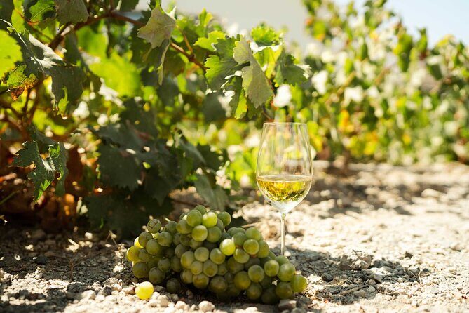 Private Wine Tour in Santorini - Key Points