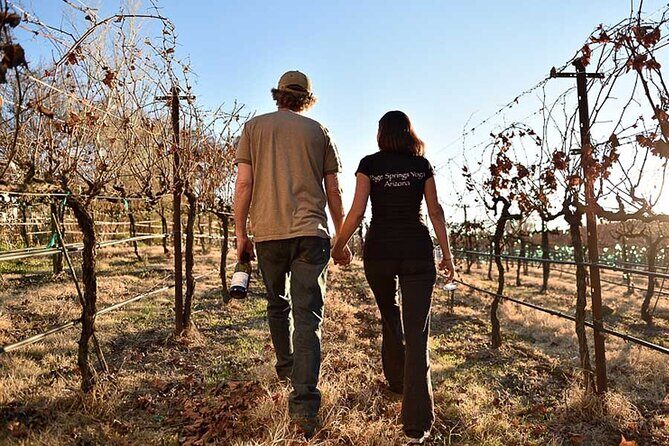 Private Wine Tour in Sedona, Arizona - An In-Depth Look at the Sedona Private Wine Tour