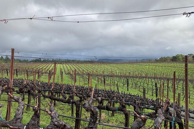 Private Wine Tour Napa or Sonoma 6 hours up to 6 people - Final Thoughts