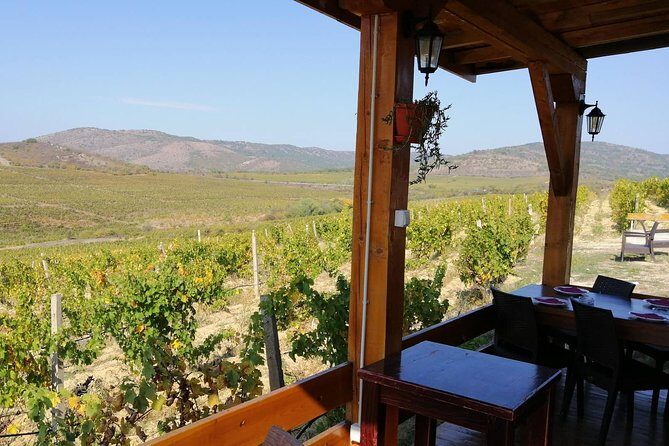 Private Wine Tour of Chateau Sopot Winery from Skopje - A Step-by-Step Look at the Itinerary