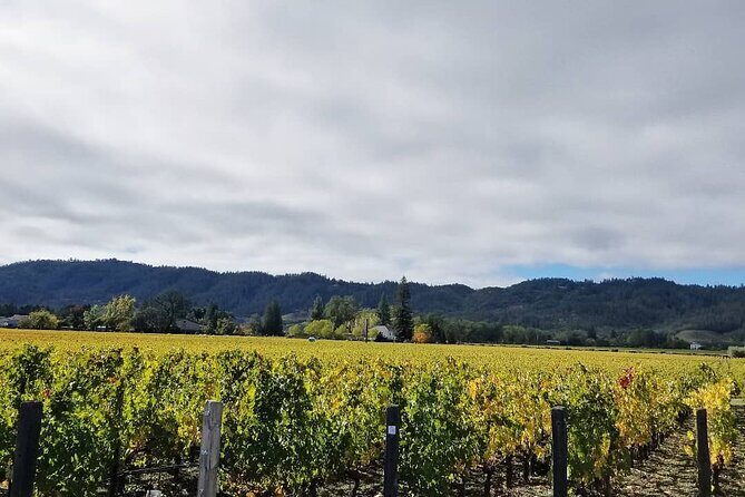 Private Wine Tour of Napa Valley - Why Choose This Private Napa Valley Wine Tour?