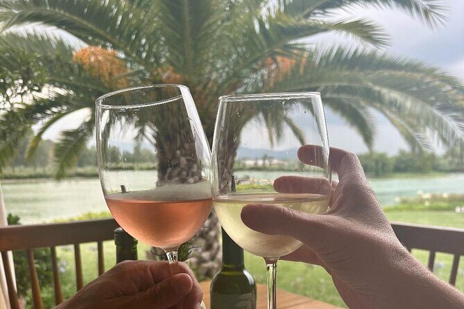 Private Wine Tour of San Miguel de Allende Tastings and Lunch - Who is this tour best suited for?