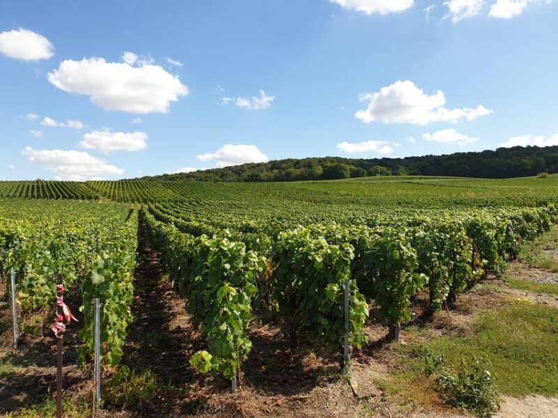 Private wine tour to Bordeaux - 2 days - From Paris - Key Points