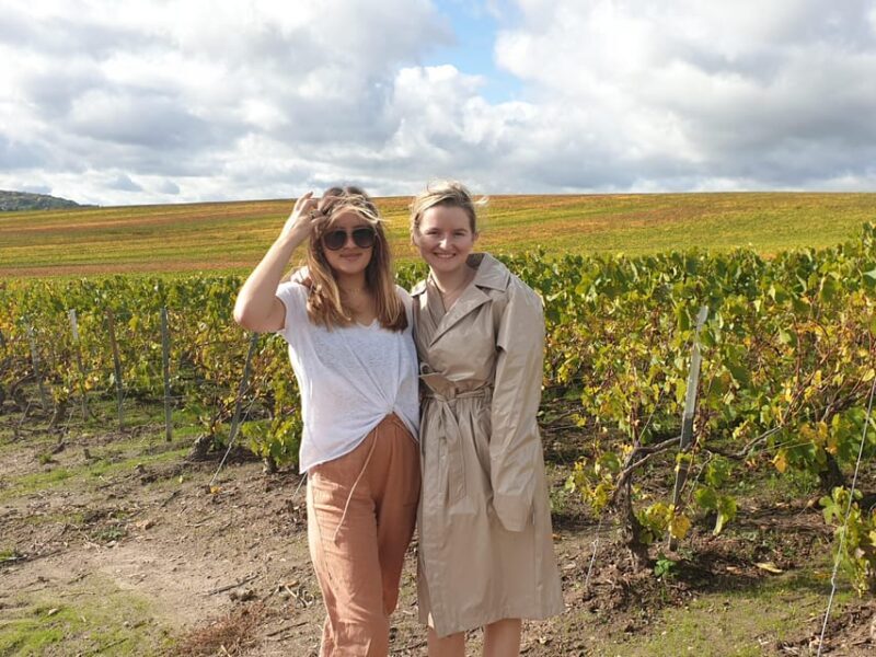 Private wine tour to Bordeaux - 2 days - From Paris - An In-Depth Look at the Bordeaux Private Wine Tour
