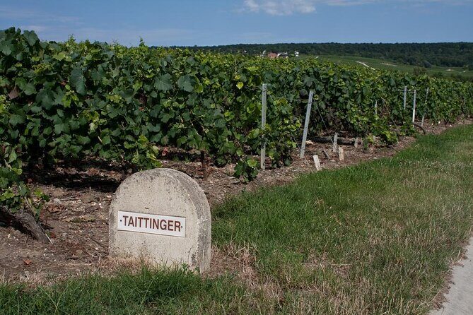 Private wine tour to Champagne region from Paris - Discover the Charm of Champagne on a Private Day Trip from Paris