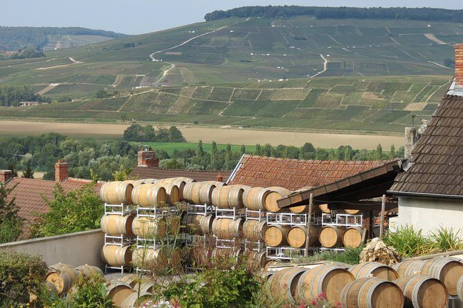 Private wine tour to Champagne region from Paris - Key Points
