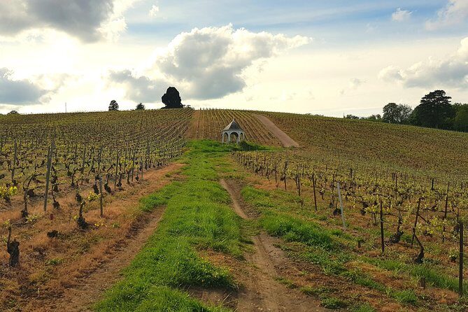 Private wine tour to Champagne region from Paris - Practical Details and Value