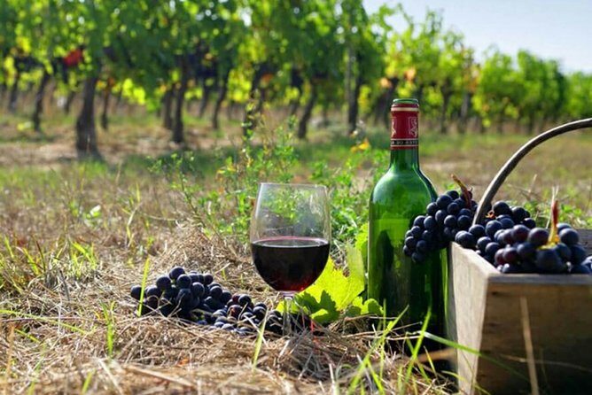 Private wine tour to Khor Virap, Areni winery, Noravank - Discover Armenia’s Hidden Treasures with a Private Wine and Monastery Tour