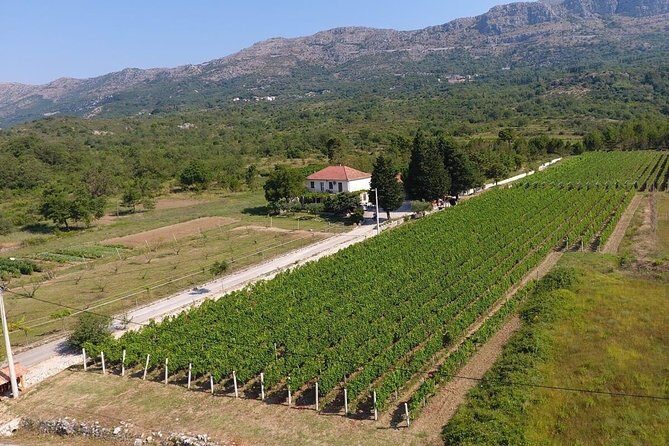 PRIVATE Wine Tour to Konavle country side - FAQ