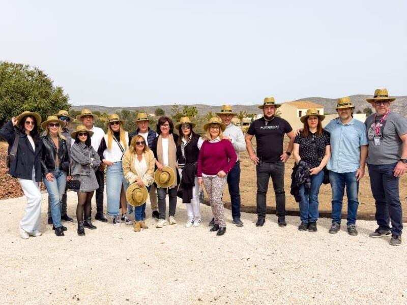 Private Wine Tour to the Costa Blanca Wineries - The Sum Up