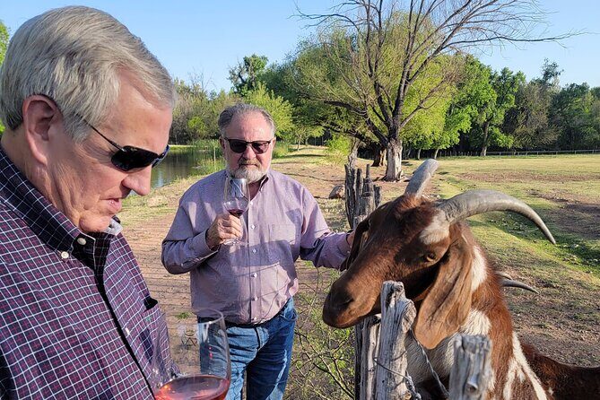 Private Wine Tour, Voted best in town, Tastings Included! - FAQ