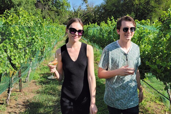 Private Wine Tour, Voted best in town, Tastings Included! - The Sum Up