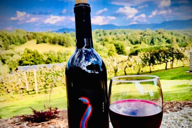 Private Wine Tour with Dine in Black Mountain from Asheville - The Value: Is It Worth the Price?