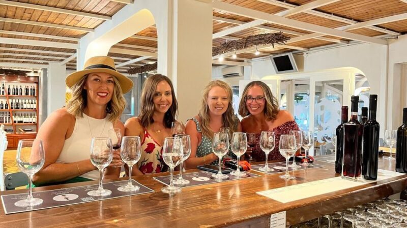 Private wine tour with sunset and pictures - Who Should Sign Up?