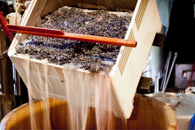 Private Wine Tour with Tastings from Eugene - Discovering Oregon Wine Country: A Private Tour from Eugene