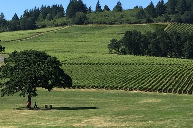 Private Wine Tour with Tastings from Eugene - Is It Worth the Price?