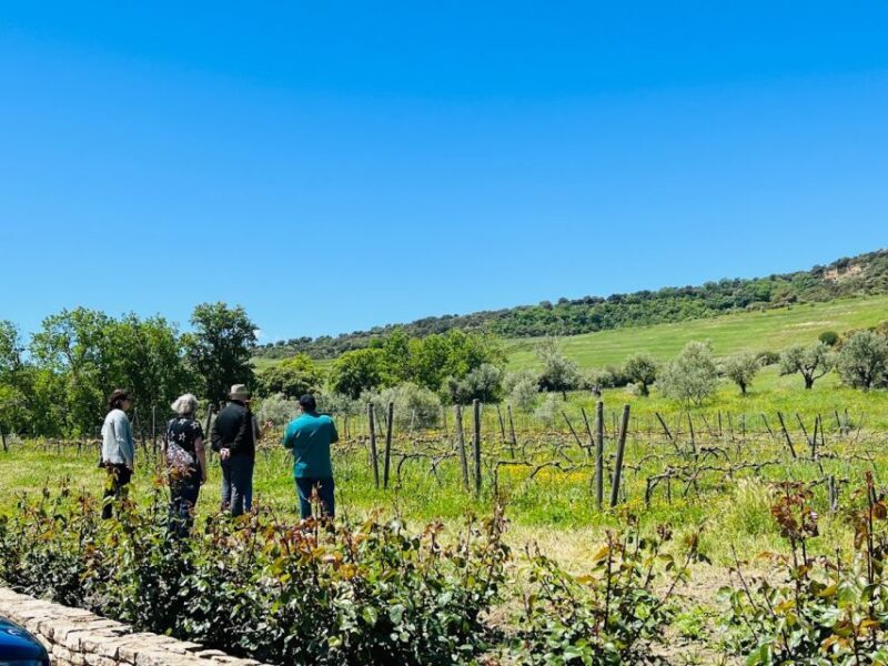 Private Winery Tour and Visit to Ronda - FAQ