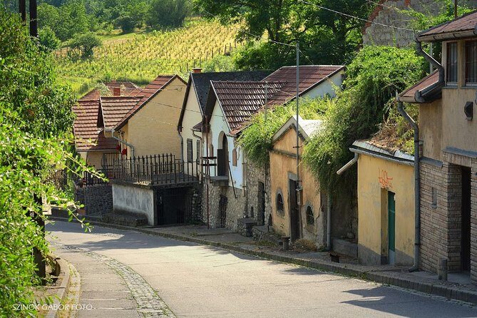 Private winetasting and sightseeing tour to Eger, home to Bull's Blood wine! - Who Should Consider This Tour?