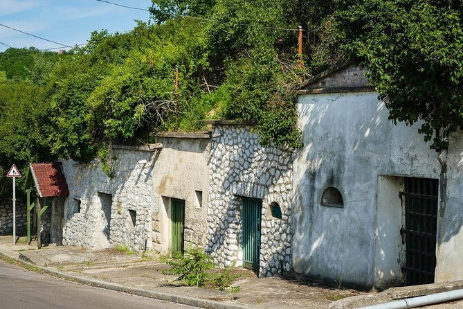 Private winetasting and sightseeing tour to Eger, home to Bull's Blood wine! - Final Thoughts: Is It Worth It?