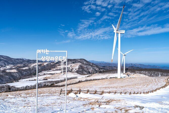 Private Winter Blossom Photo Tour with Free Photo Service - Exploring the Itinerary in Detail